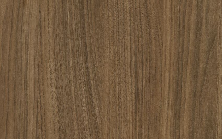 Poro Noce LS40 | Cleaf