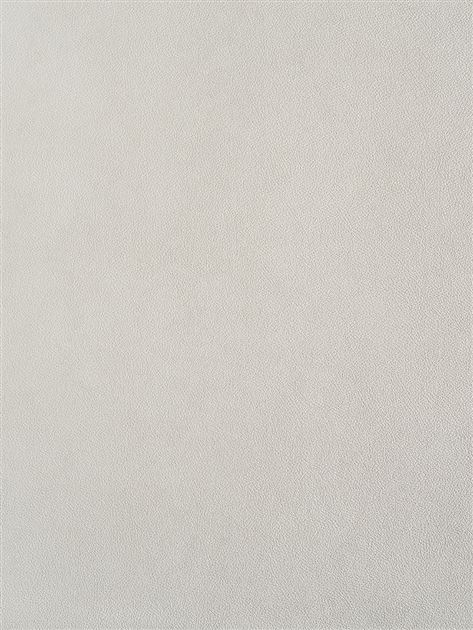 Primofiore FB45 | Cleaf