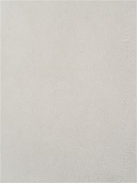 Primofiore FB45 | Cleaf