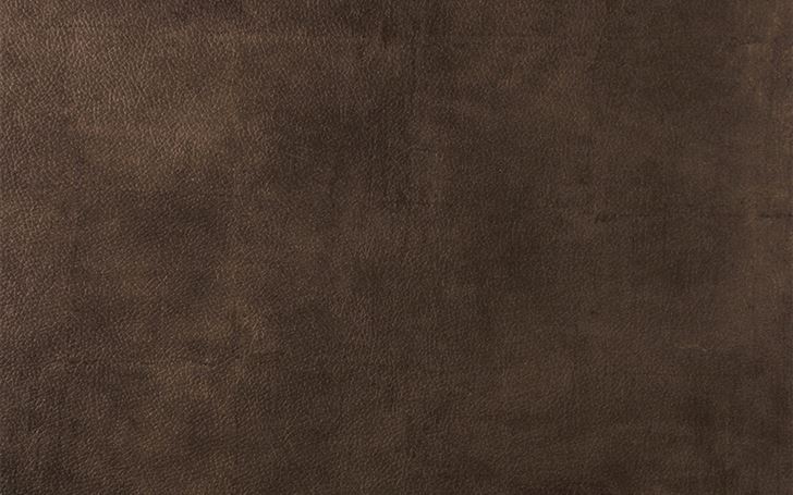 Primofiore FA33 | Cleaf