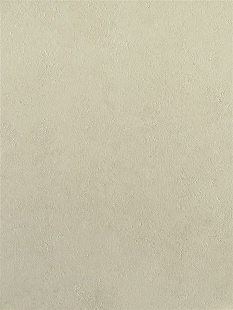 Taranta FD10 | Cleaf