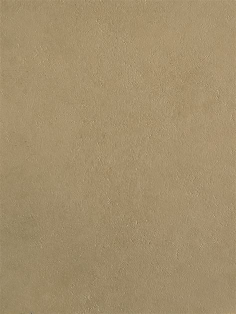 Taranta FD29 | Cleaf