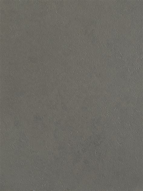 Taranta FD15 | Cleaf