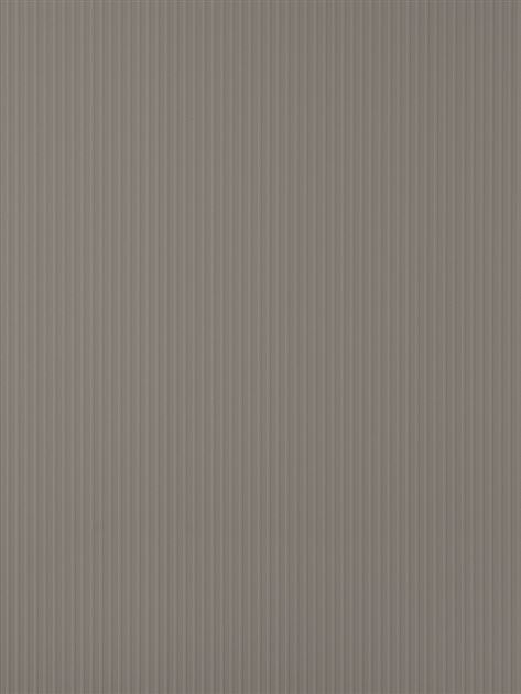 Traccia UB24 | Cleaf