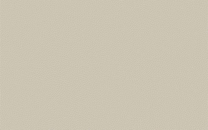 Primofiore U164 | Cleaf