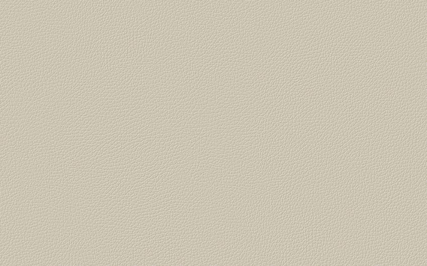 Primofiore U164 | Cleaf