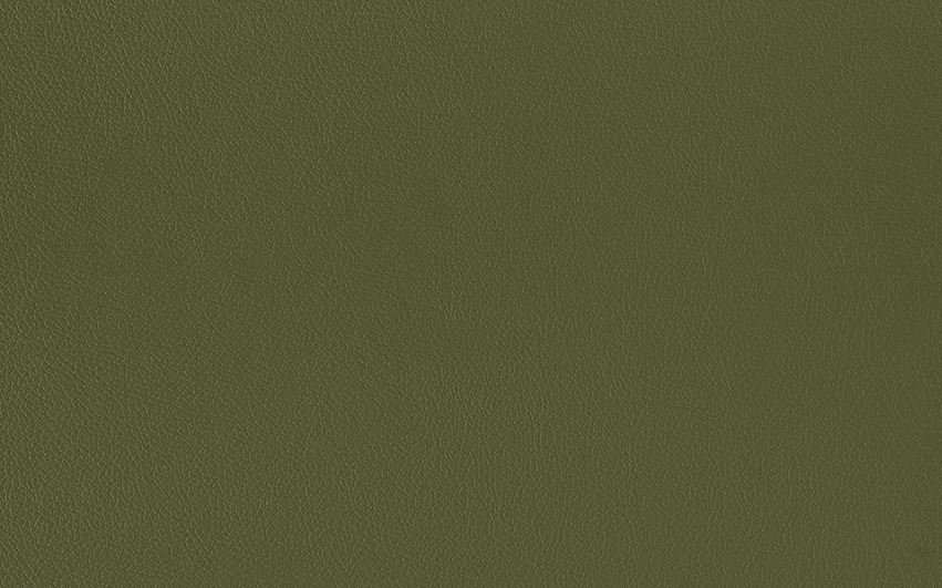 Primofiore UB54 | Cleaf