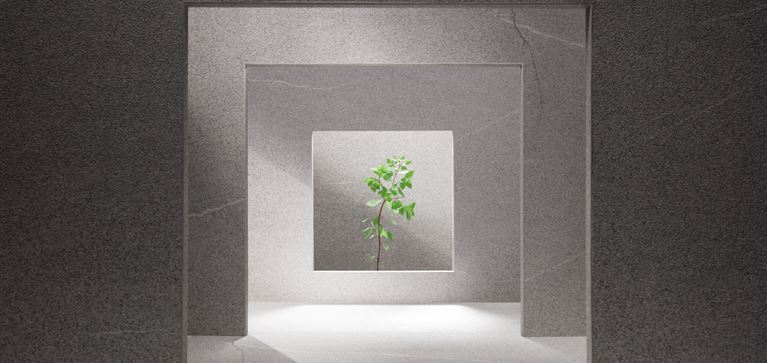 Concreta FB50 | Cleaf