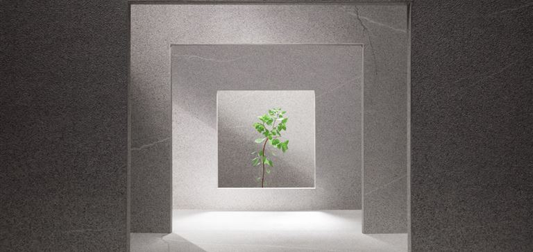 Concreta FD01 | Cleaf